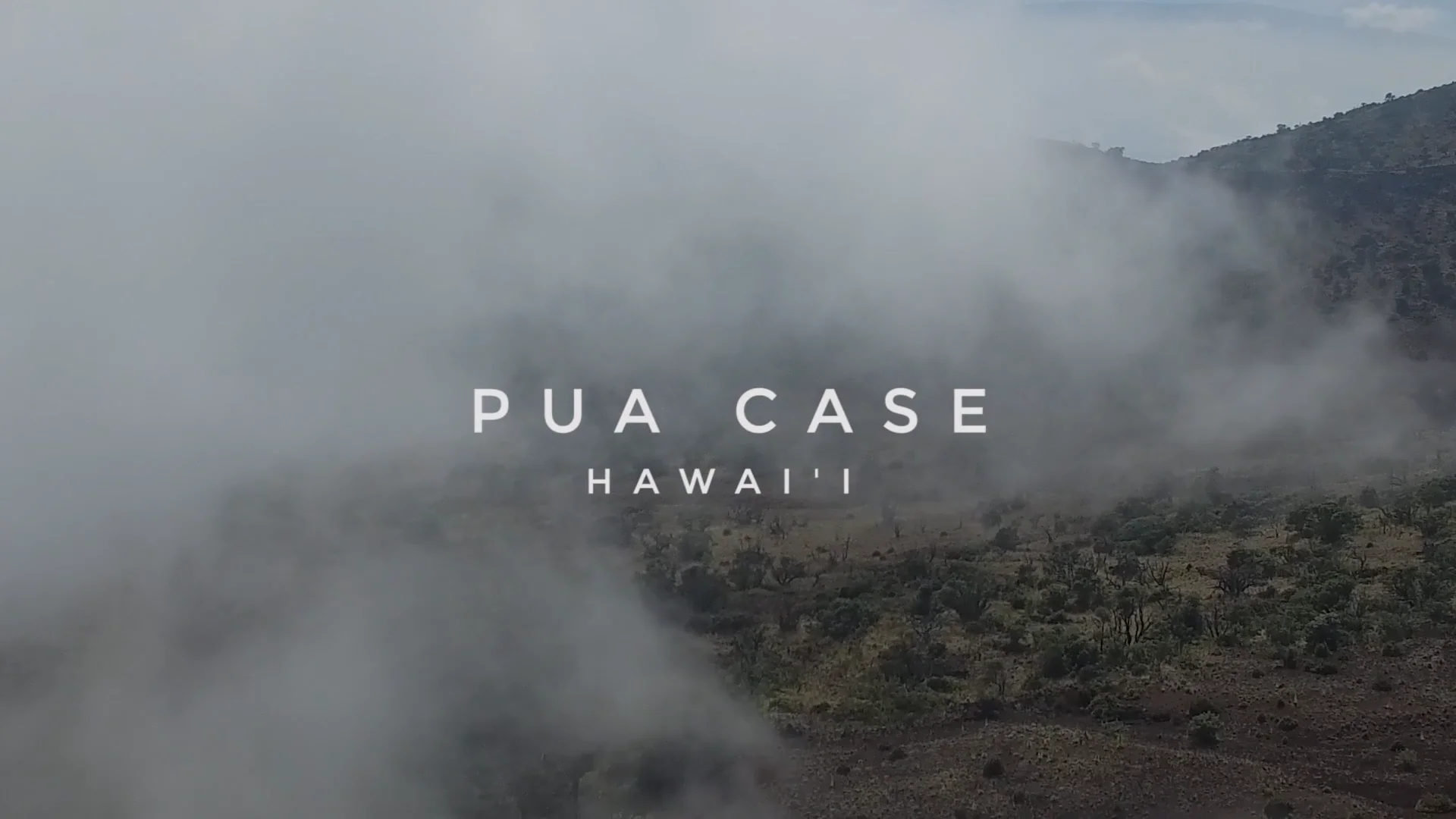I Am Ocean: Pua Case
