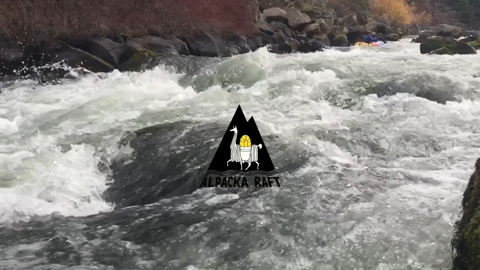 100%Amazing on Vimeo
