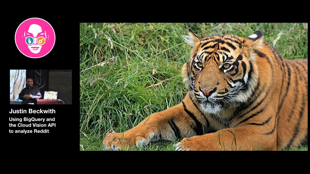 Justin Beckwith - Using BigQuery and the Cloud Vision API to analyze ...