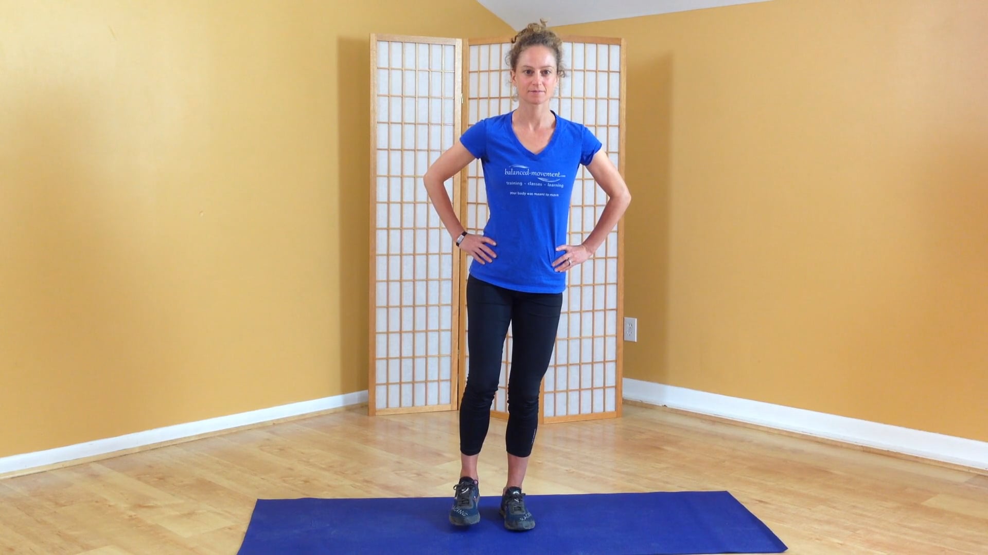 Functional Evaluation of Stance Stabilization - Bilateral to Unilateral ...