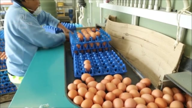 Kinross Farms on Vimeo
