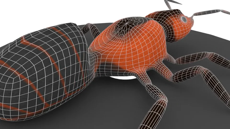 Ant wireframe on Vimeo