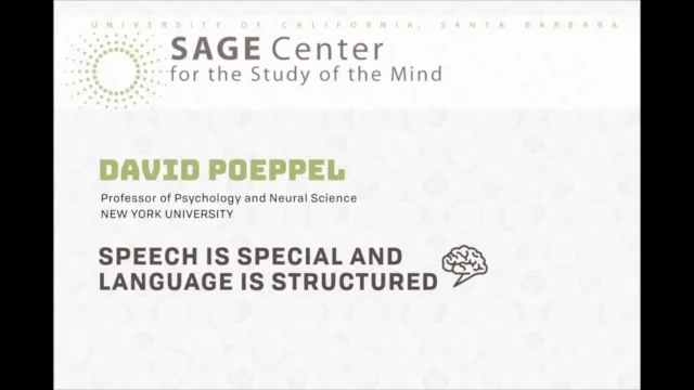 Speech is Special and Language is Structured - David Poeppel on Vimeo