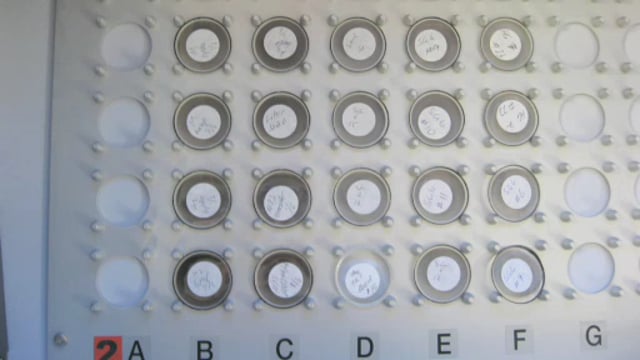 Calcination step 5: Testing in the lab — Science Learning Hub