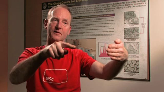 CT and micro-CT of core samples — Science Learning Hub