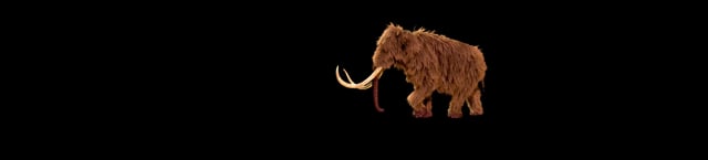 Mammut Videos: Download 5+ Free 4K & HD Stock Footage Clips - Pixabay