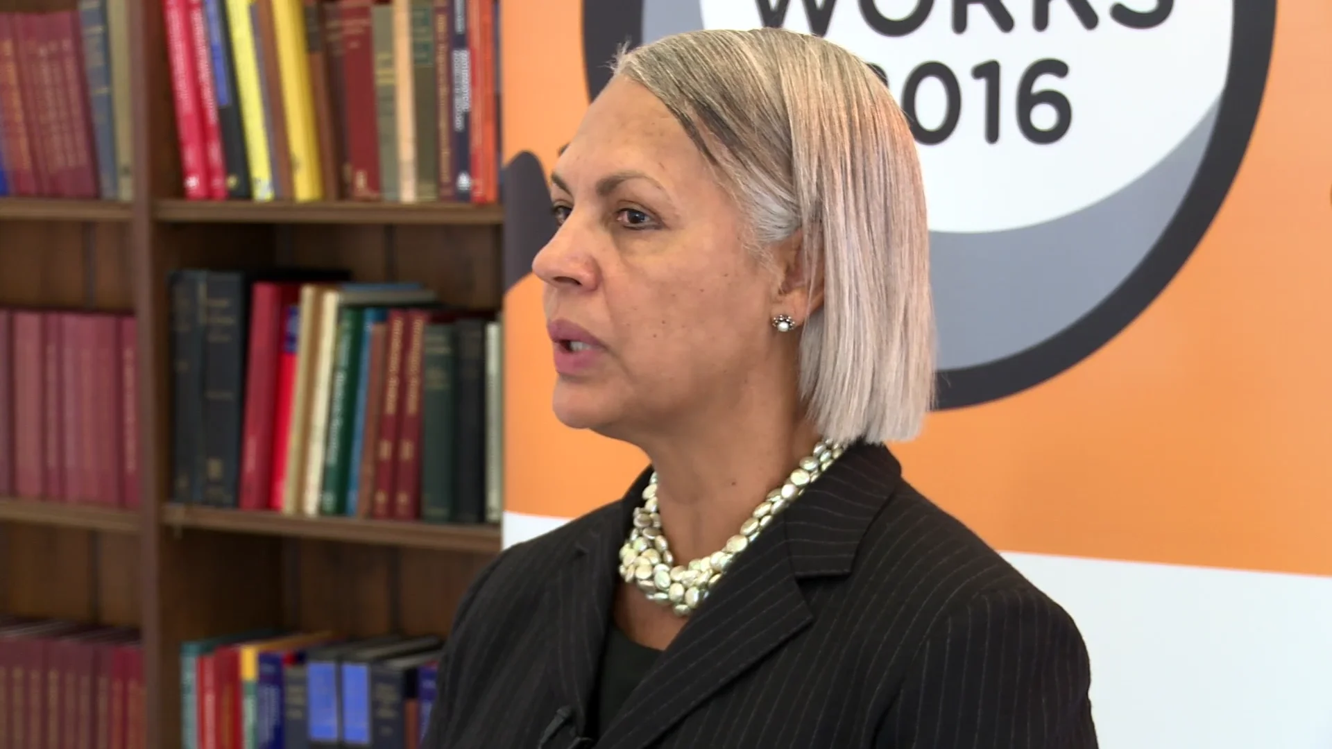 Evidence Works 2016 interviews (9) - Pam Webster on Vimeo