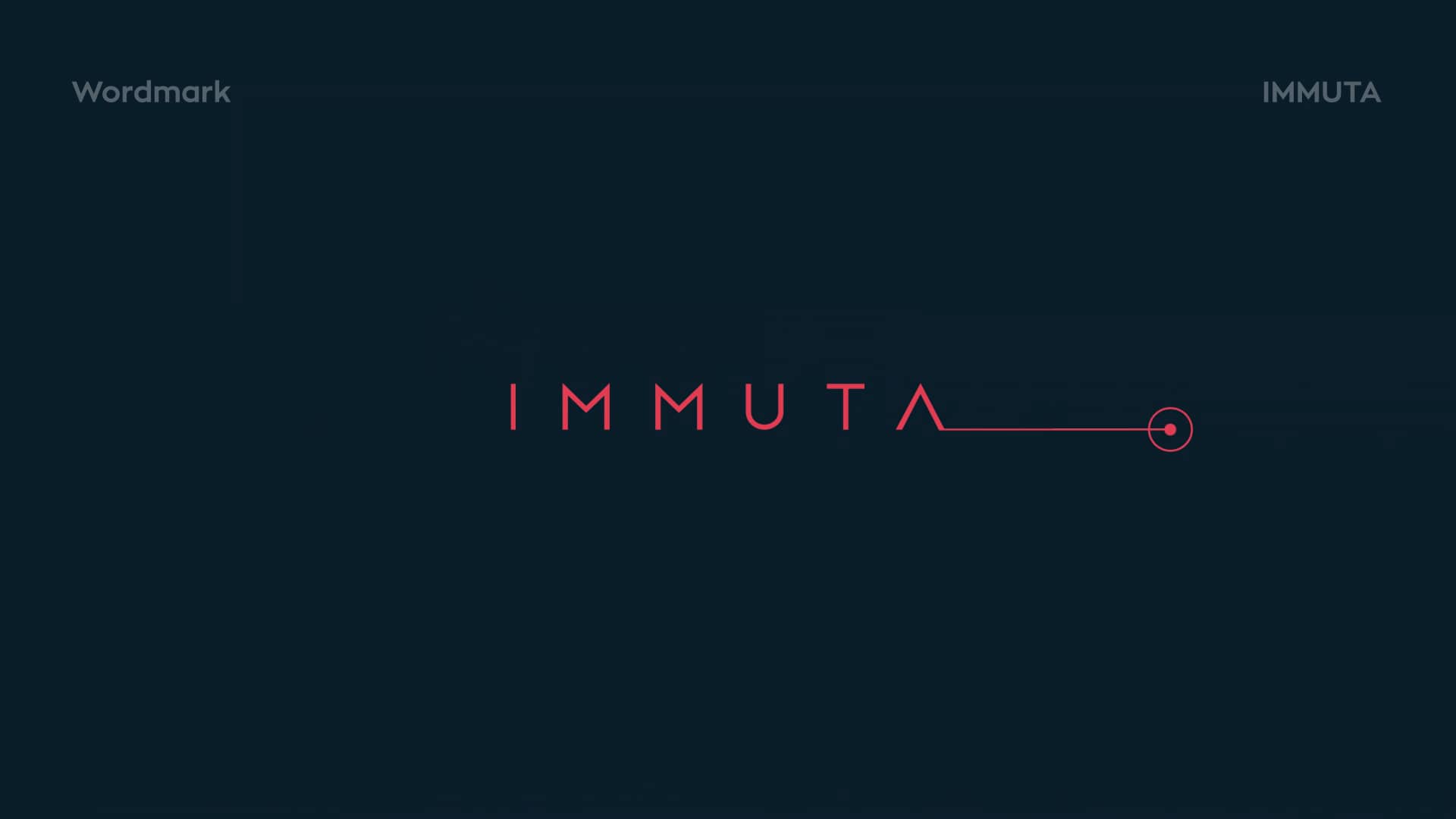 Immuta // Identity Animation on Vimeo