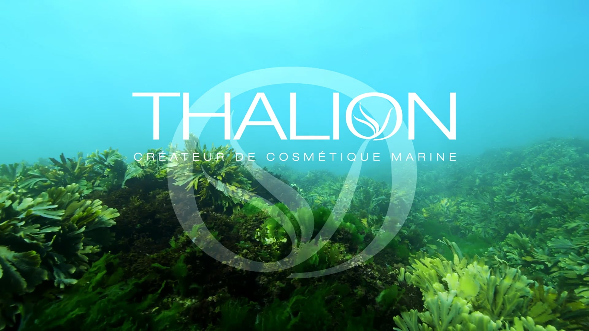 THALION Cosmétique - Teaser 2016 on Vimeo