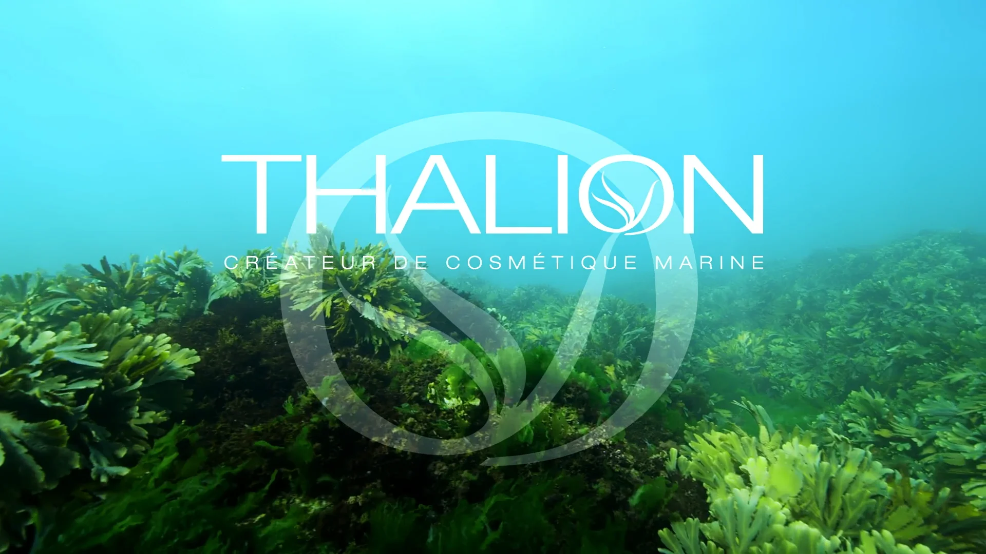 THALION Cosmétique - Teaser 2016 on Vimeo