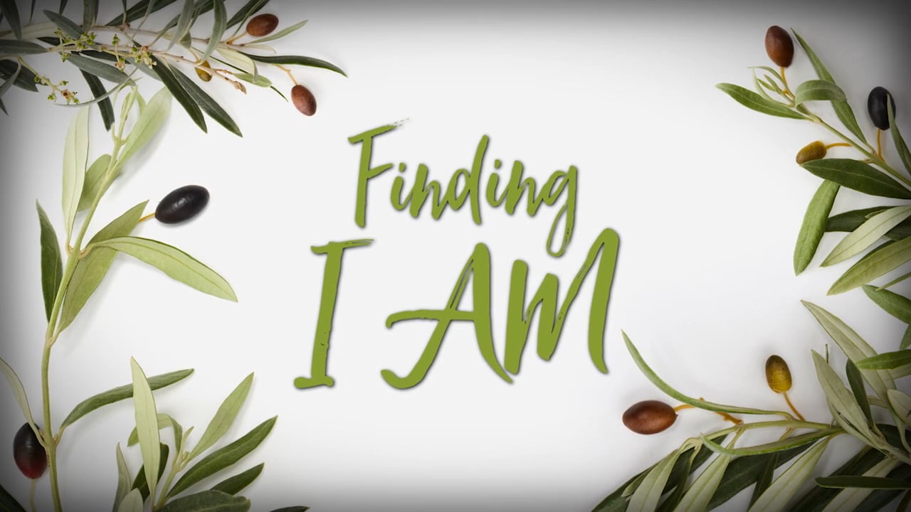 Jesus' 7 I AM Statements | Finding I Am Teaching Clip by Lysa TerKeurst ...