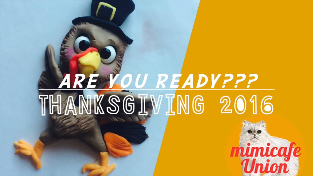 Happy Thanksgiving 2016 on Vimeo