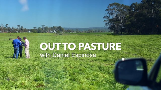 Out to Pasture on Vimeo