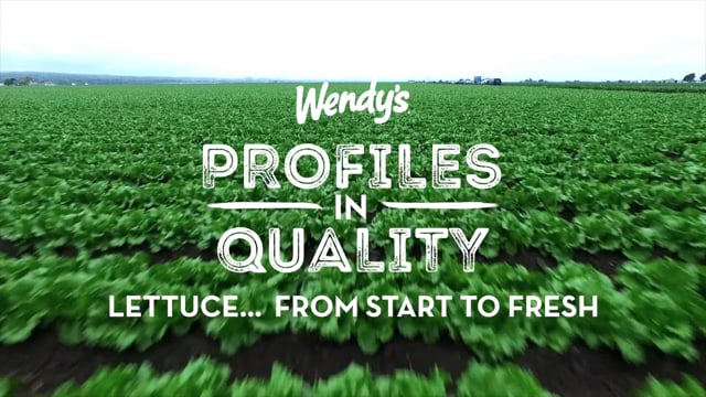 Rachel Lederman on Vimeo