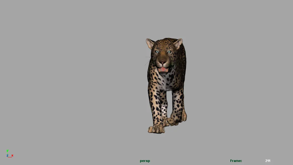 Leopard Animation on Vimeo