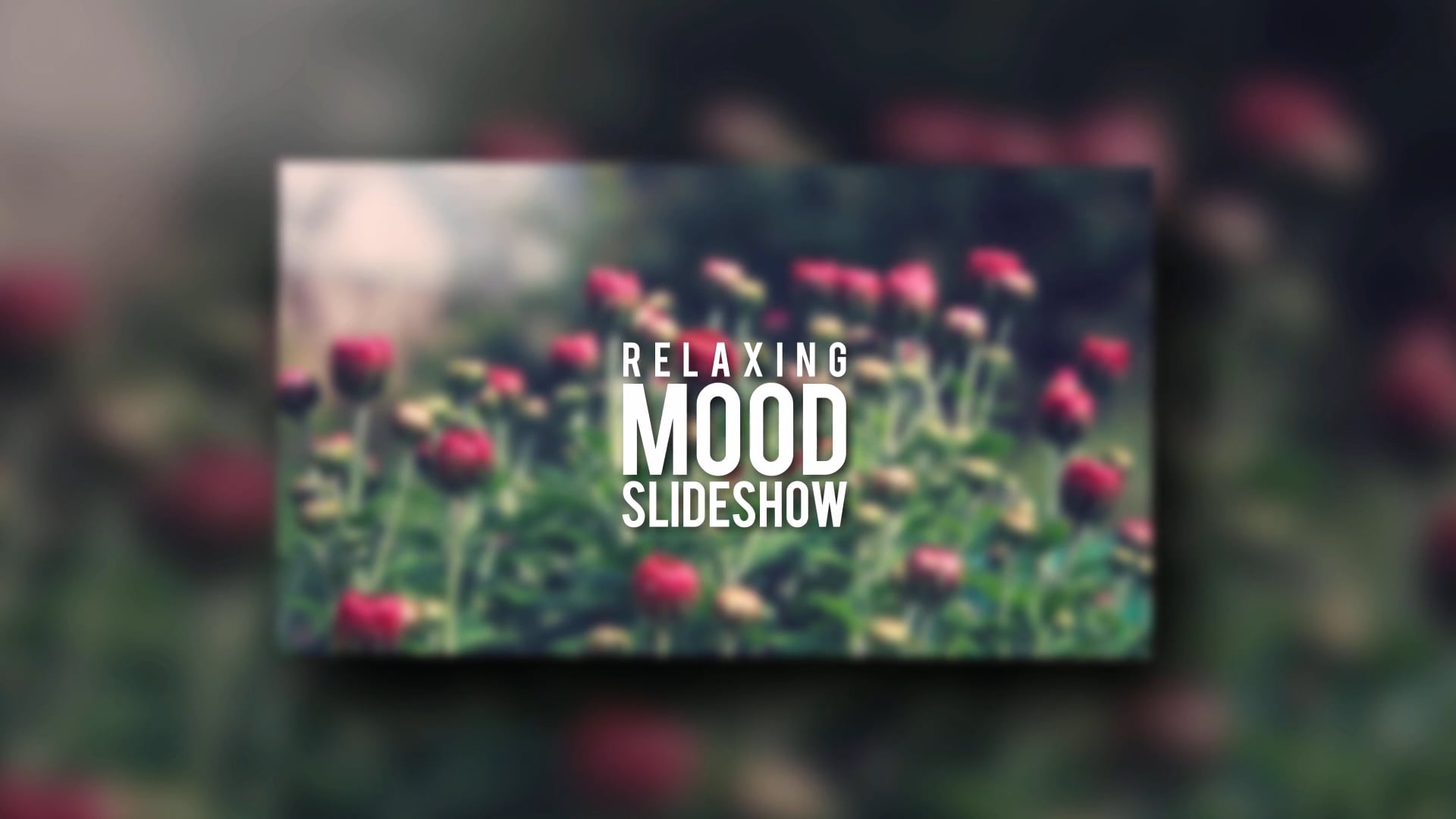 Relaxing Mood Slideshow on Vimeo