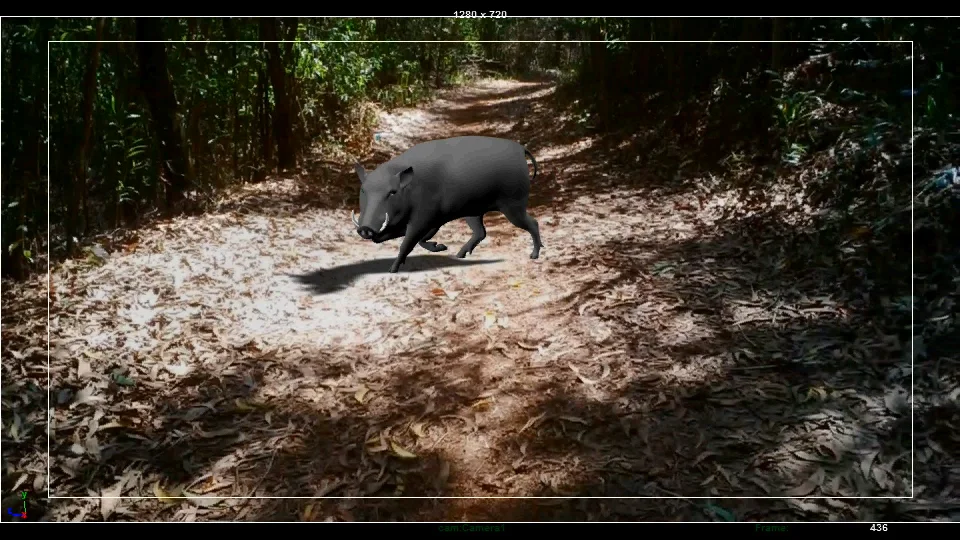 Wild boar Animation on Vimeo