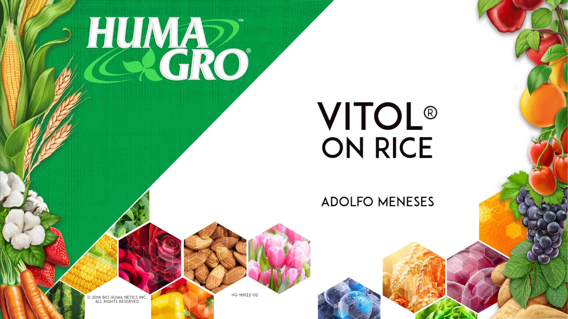 Huma Gro® Vitol® on Rice on Vimeo