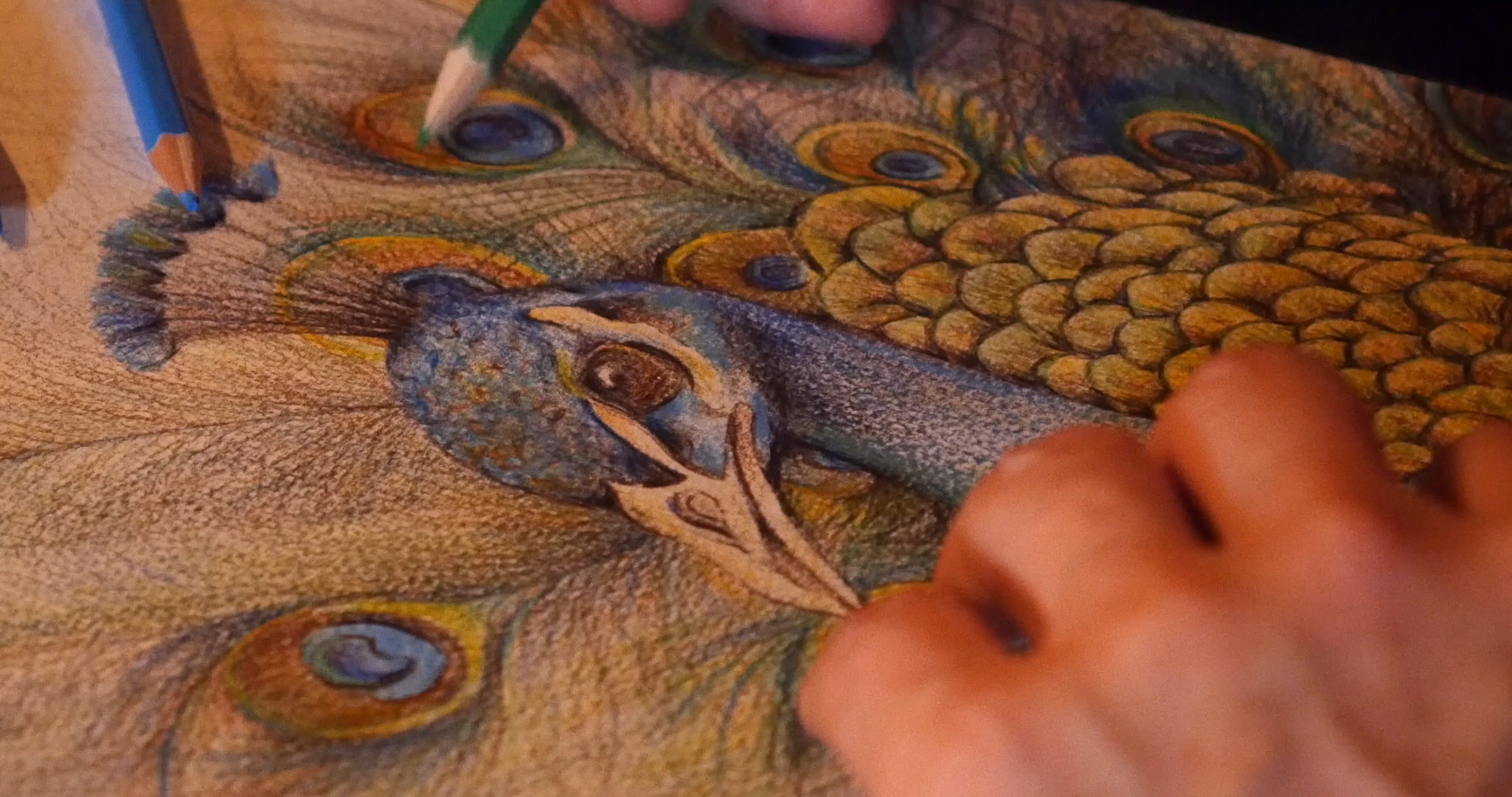 Stef-Albert Bothma / DoDo on Vimeo
