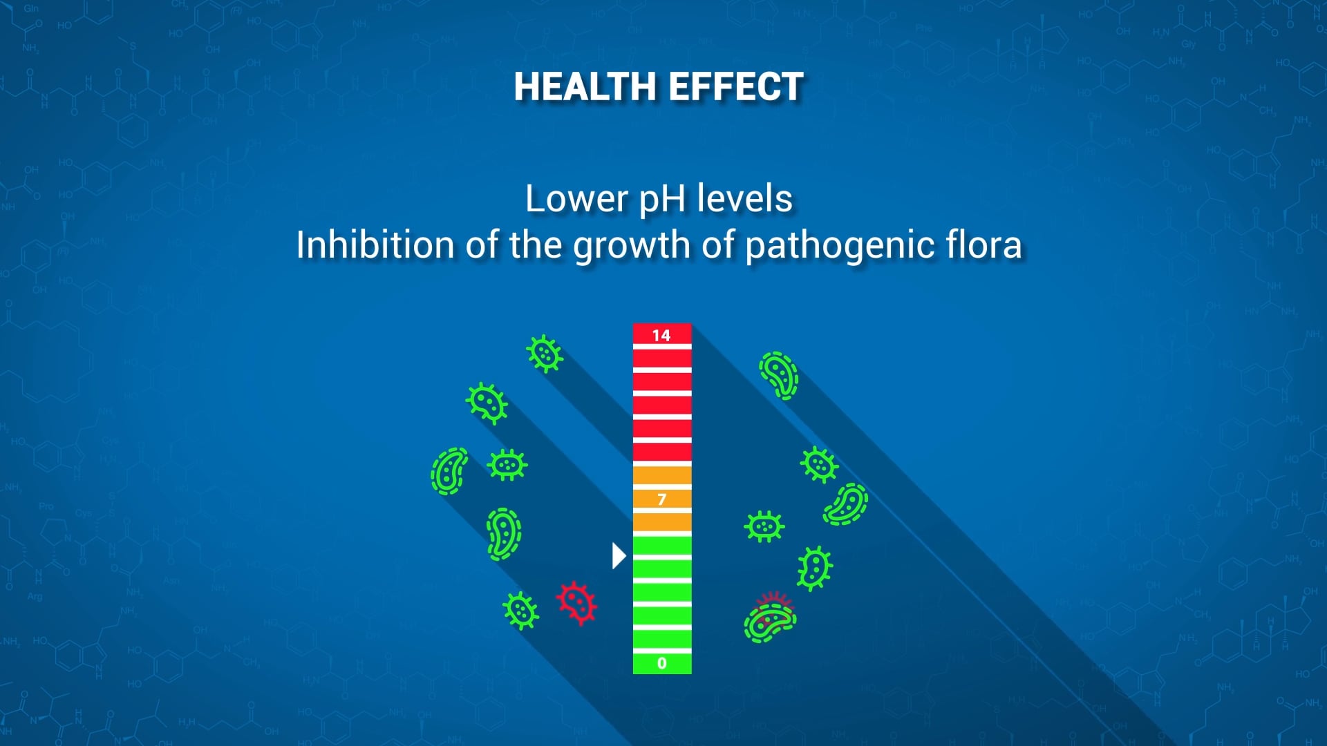 The Programmed Acidification© in poultry farming on Vimeo
