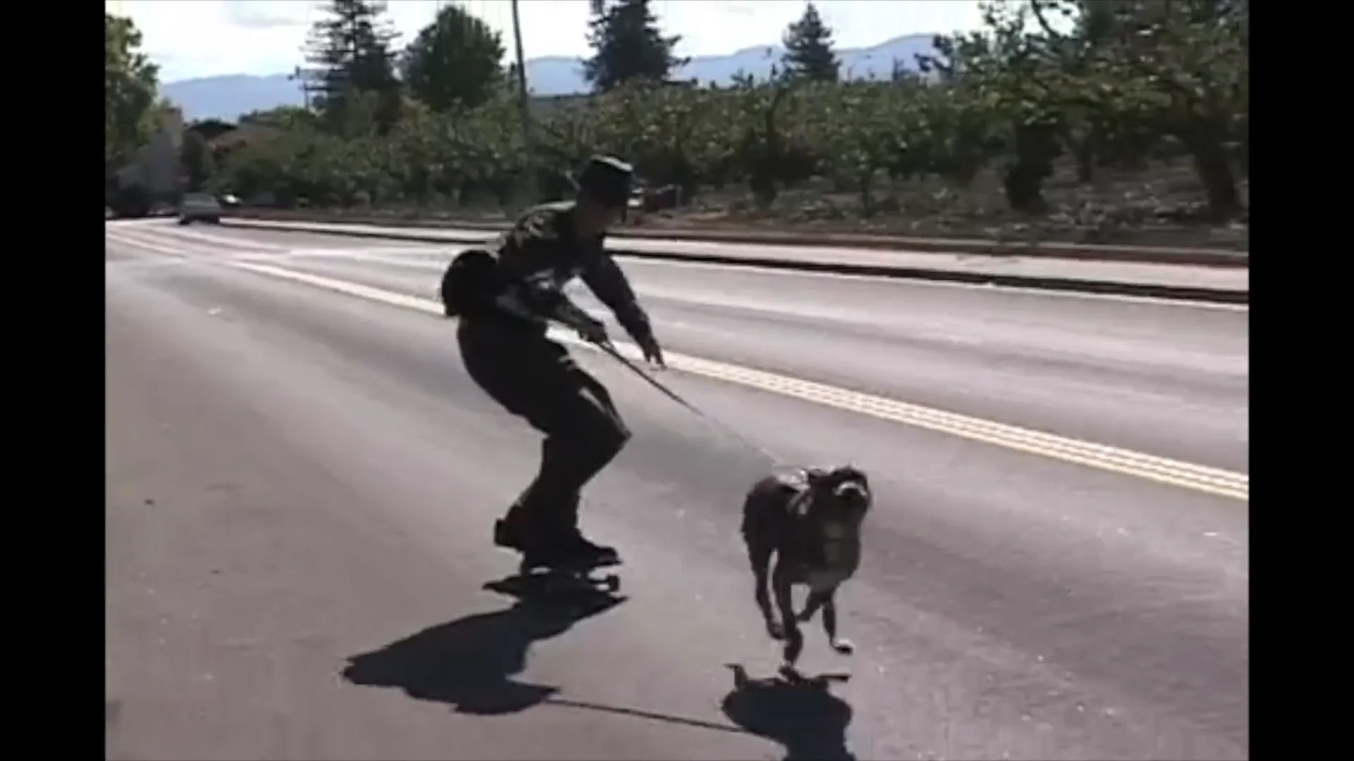 Josh Balogh Restart skateboards on Vimeo