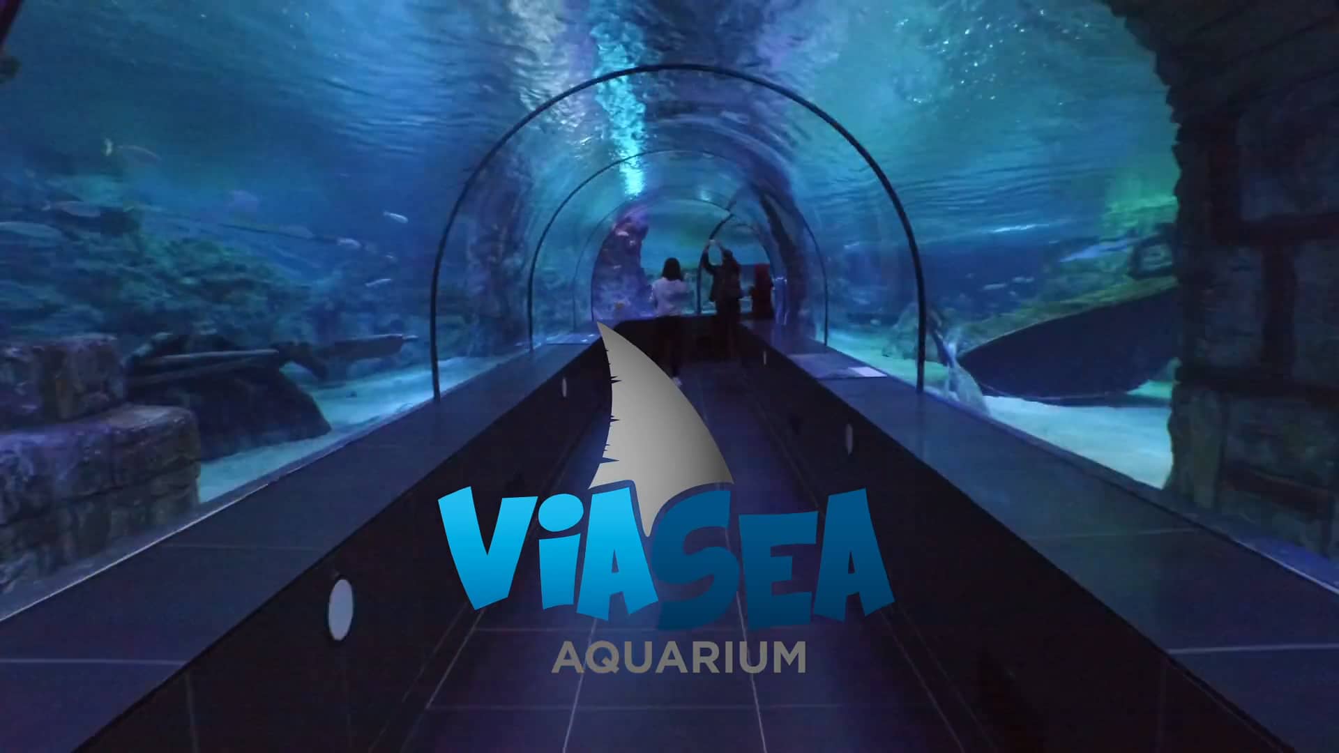 ViaSea Aquarium on Vimeo