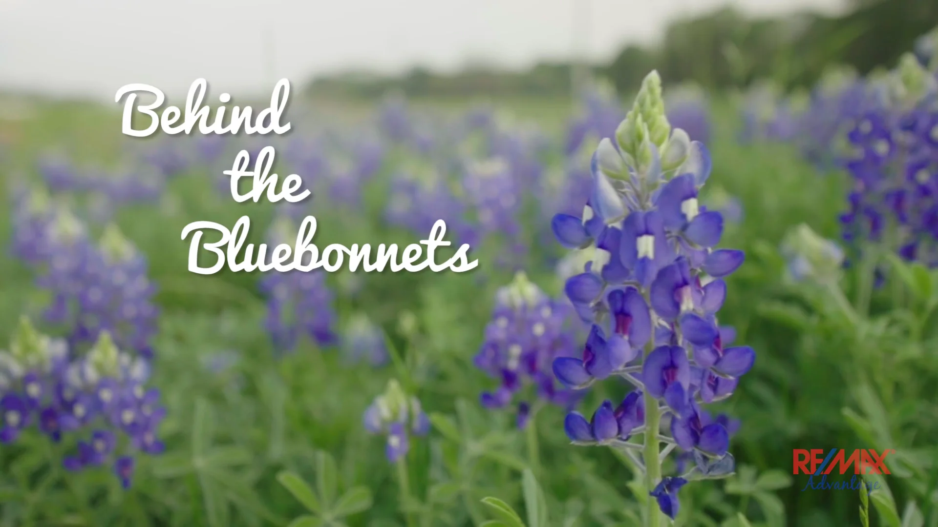 Re/Max Brenham Texas "Behind the Bluebonnets" on Vimeo