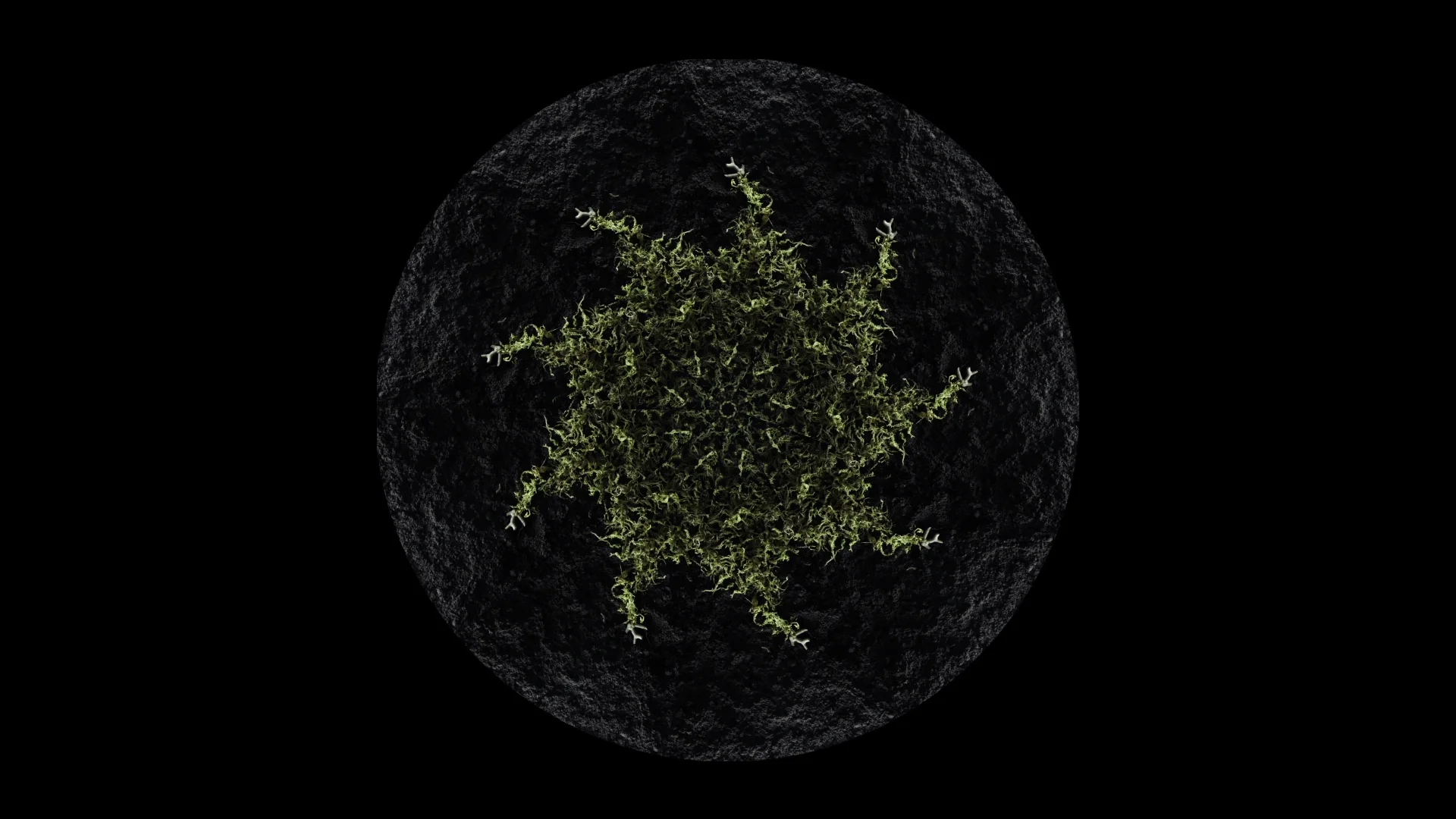 mandala on Vimeo