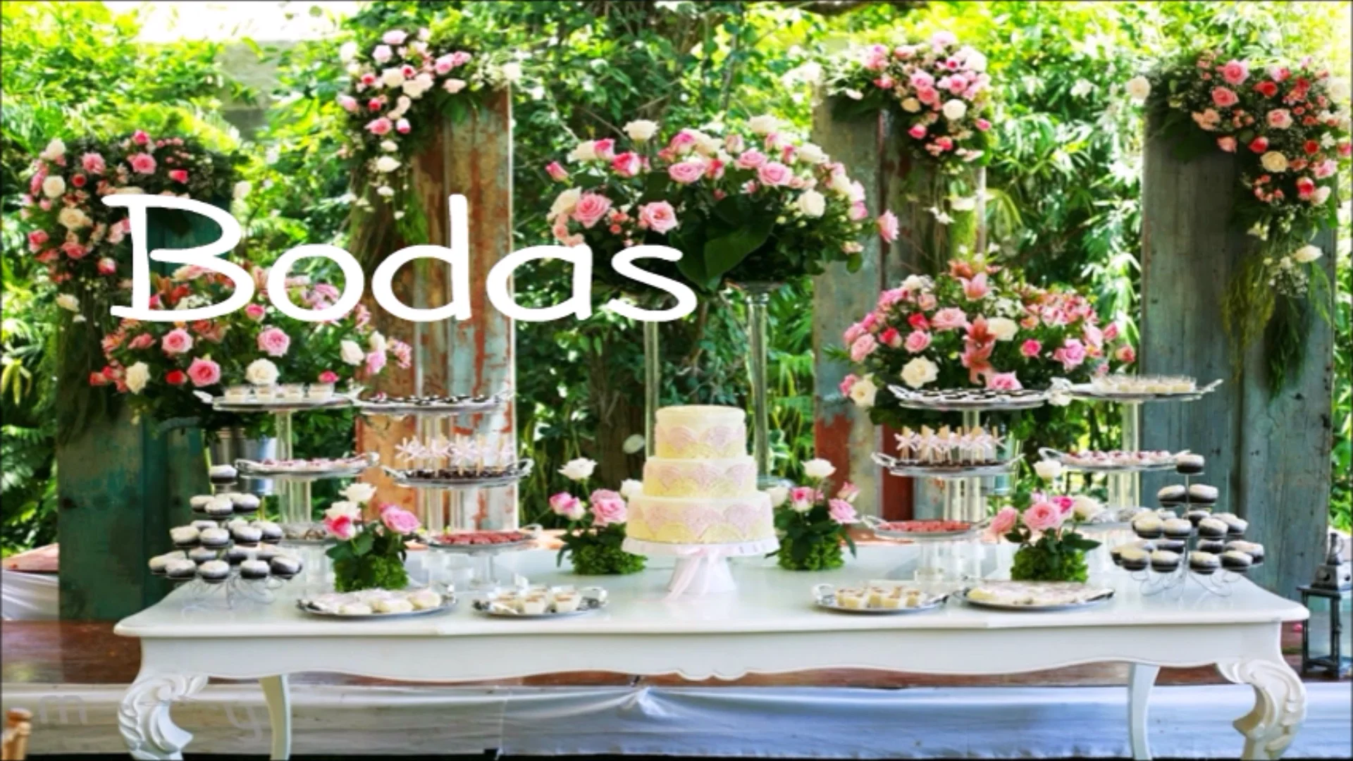 Sugar world on Vimeo