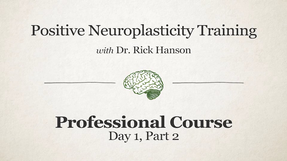 Positive Neuroplasticity Training + Professional Course - PNTPC Marin 2016 - Day 4, Part 2 on Vimeo