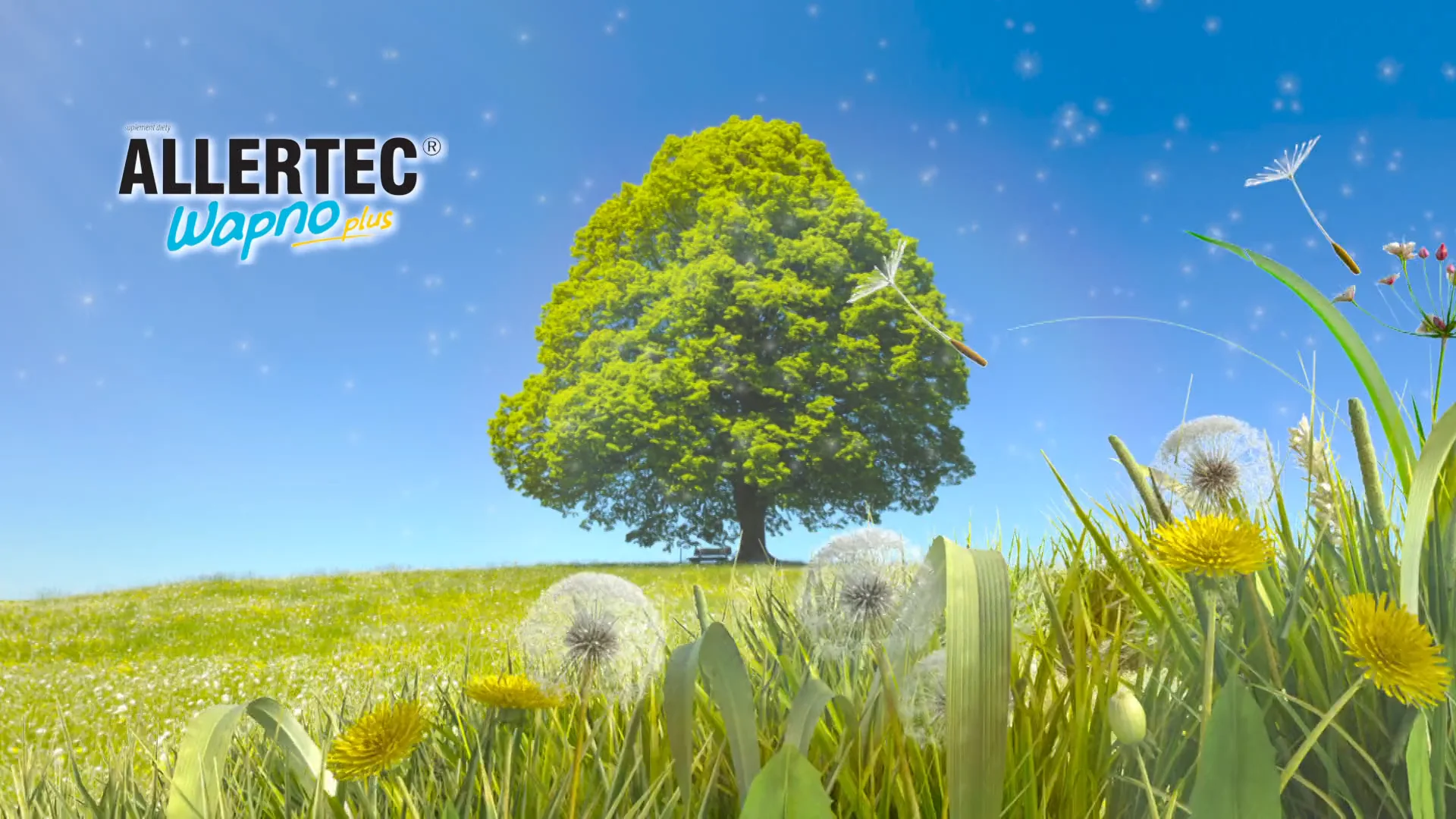 Allertec Wapno Plus on Vimeo