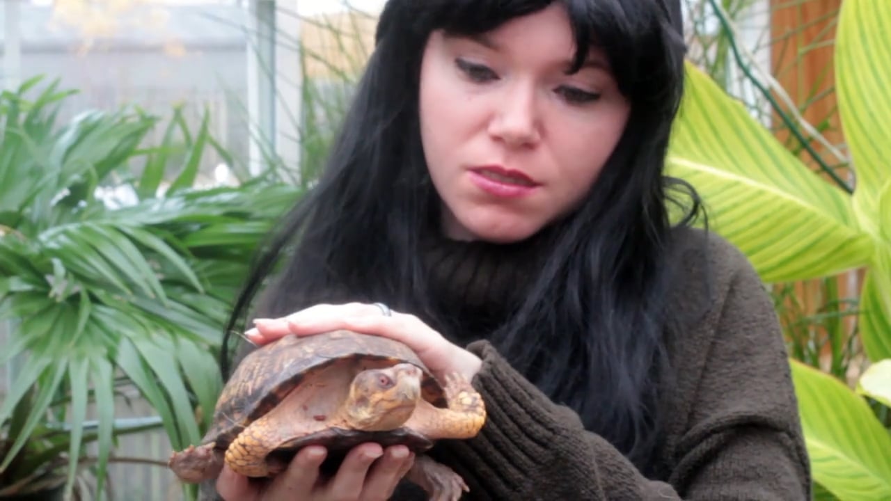 Behind the scenes: The Tyler Turtles on Vimeo