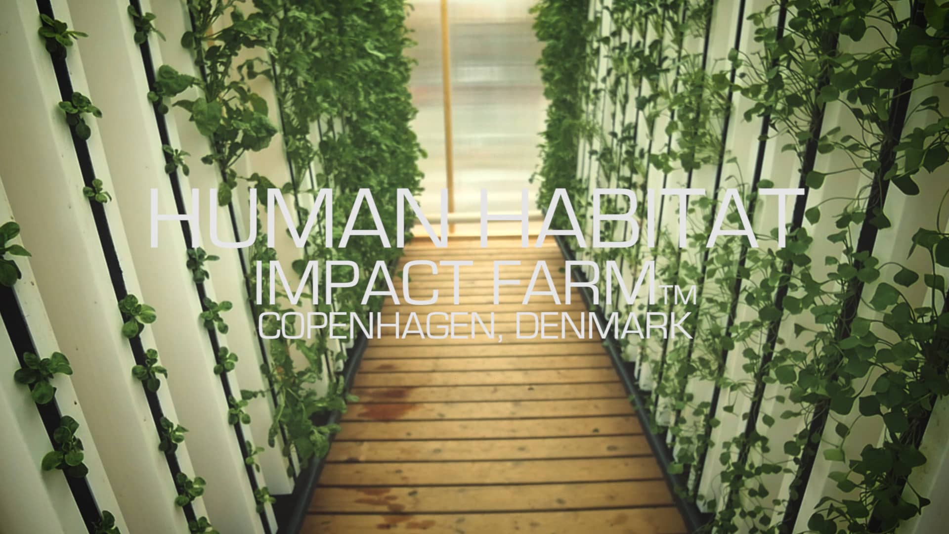 IMPACT FARM - HUMAN HABITAT on Vimeo