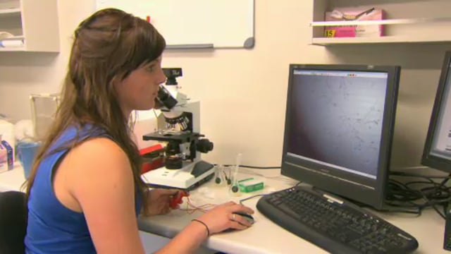 Testing — Science Learning Hub