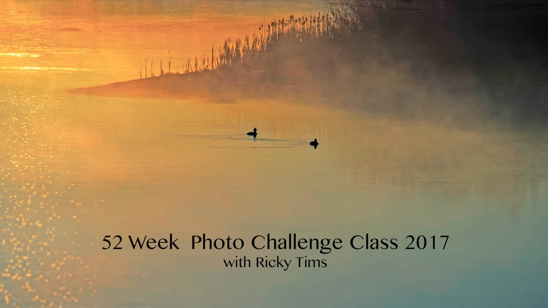 52-Week Photo Challenge Trailer on Vimeo
