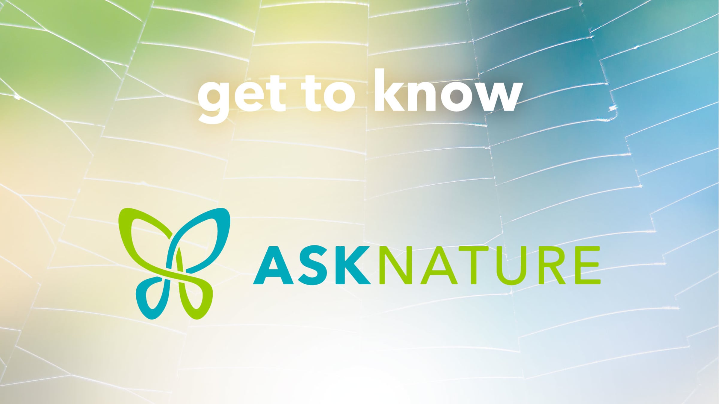 Explore the new AskNature