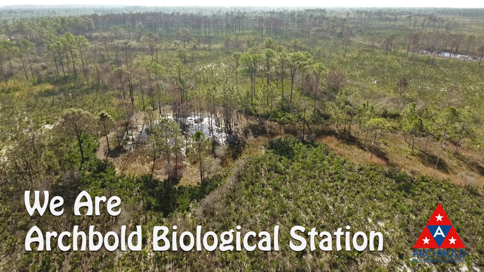 'We Are Archbold Biological Station' Trailer on Vimeo