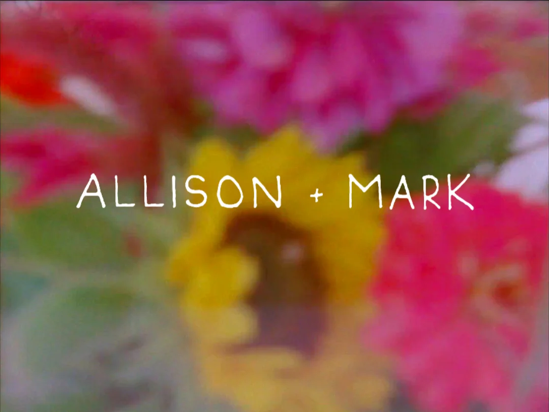Angelini-Coleman Wedding on Vimeo
