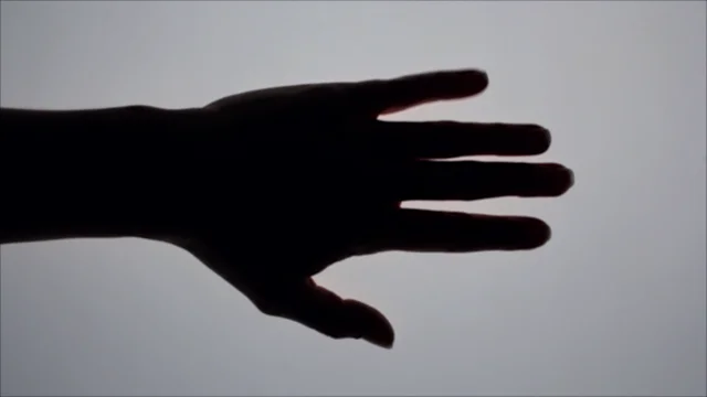 Yvonne Rainer Hand Movie
