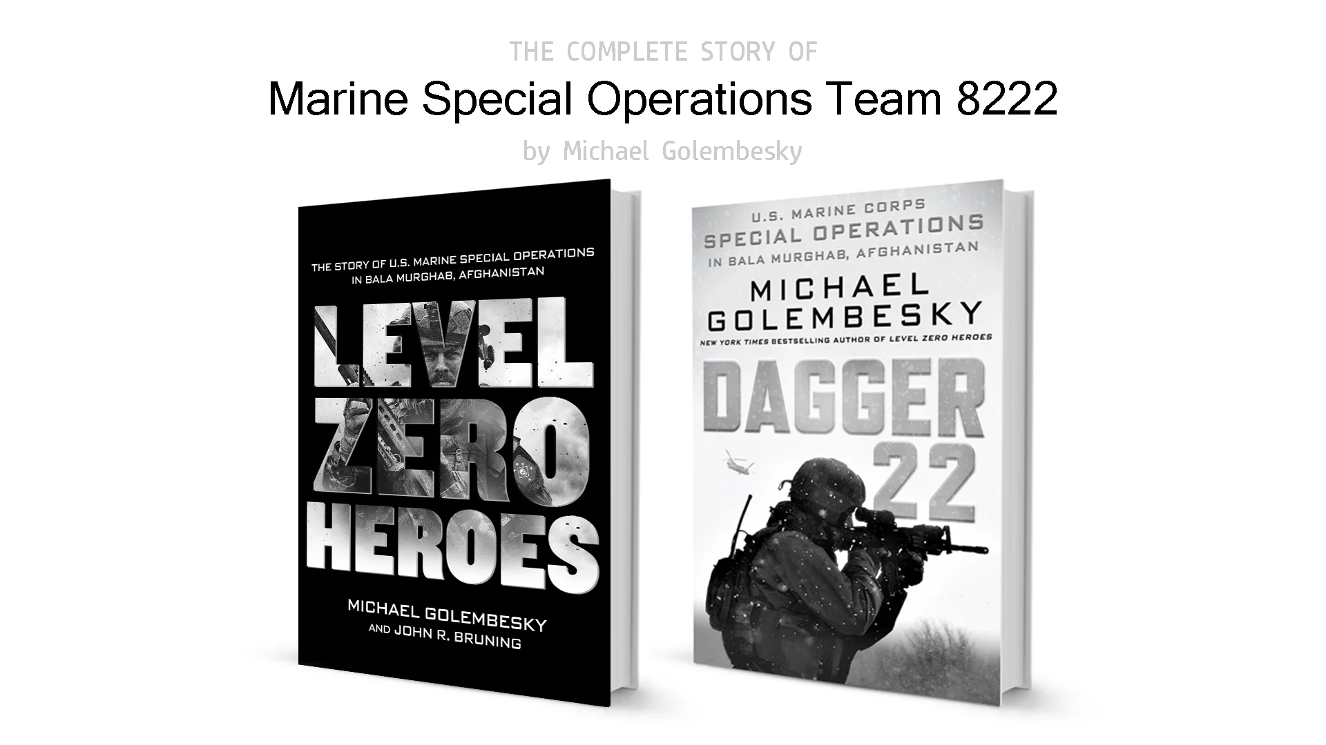 Dagger 22: U.S. Marine Corps Special Operations in Bala Murghab ...