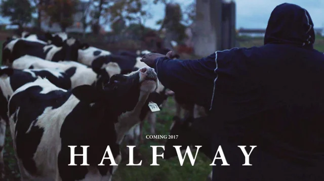 Halfway Movie