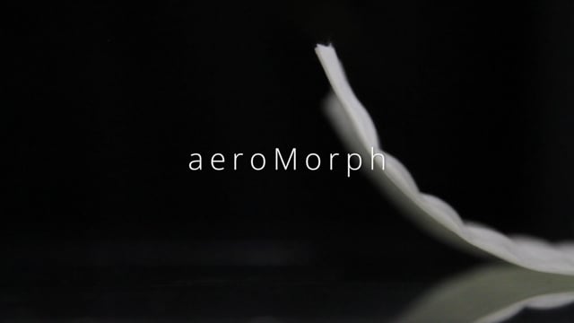 AeroMorph folds materials into origami shapes when inflated