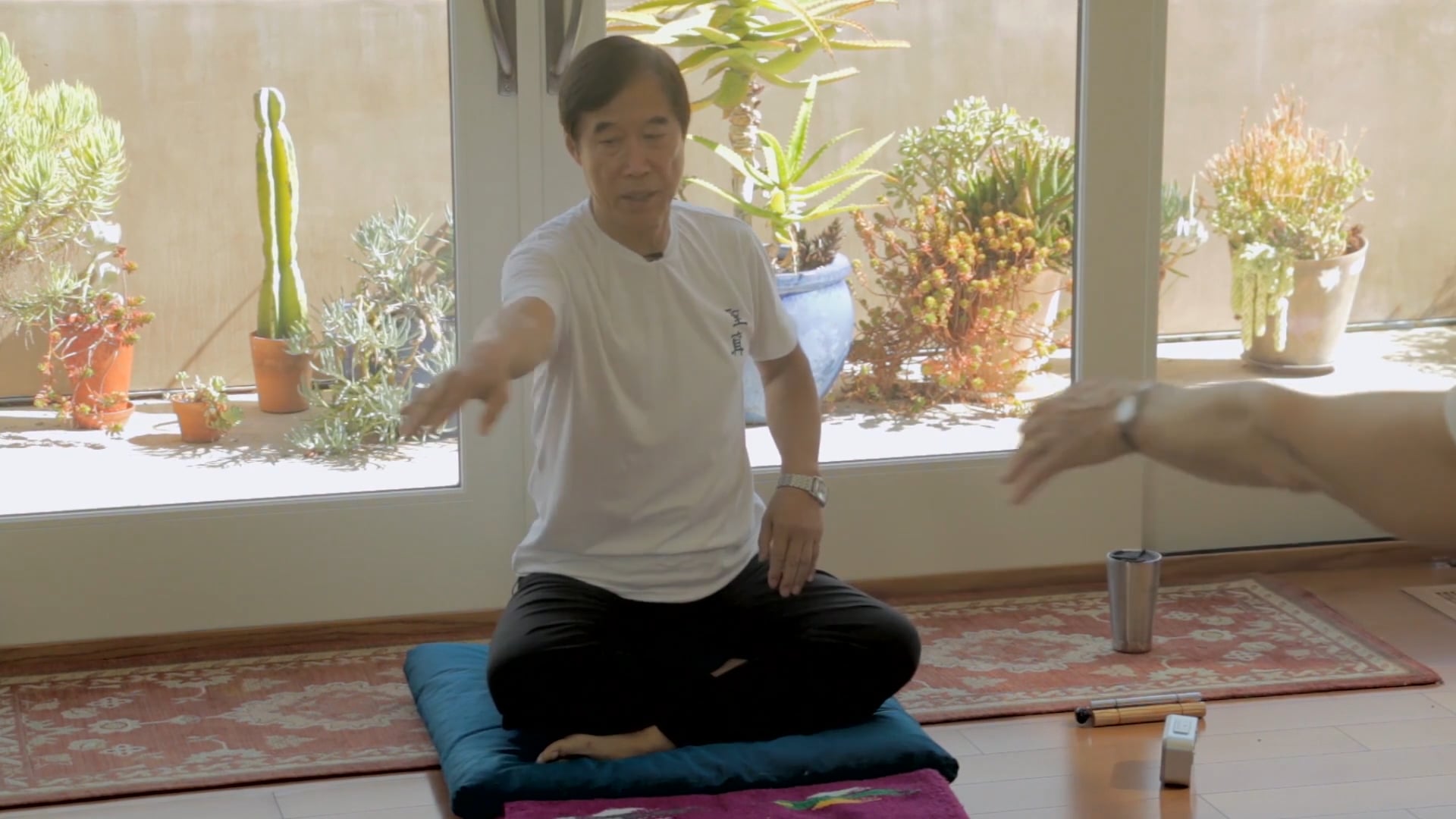 Watch Heaven Earth Gong Workshop with Master Li Junfeng Online | Vimeo ...