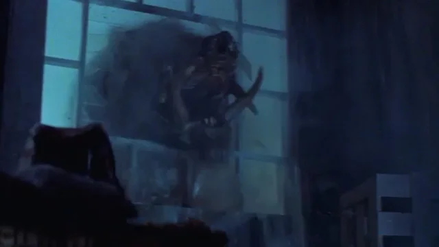 Arkie Whiteley Razorback