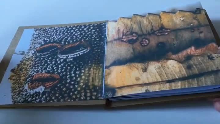 Artist Book series: Banksia on Vimeo