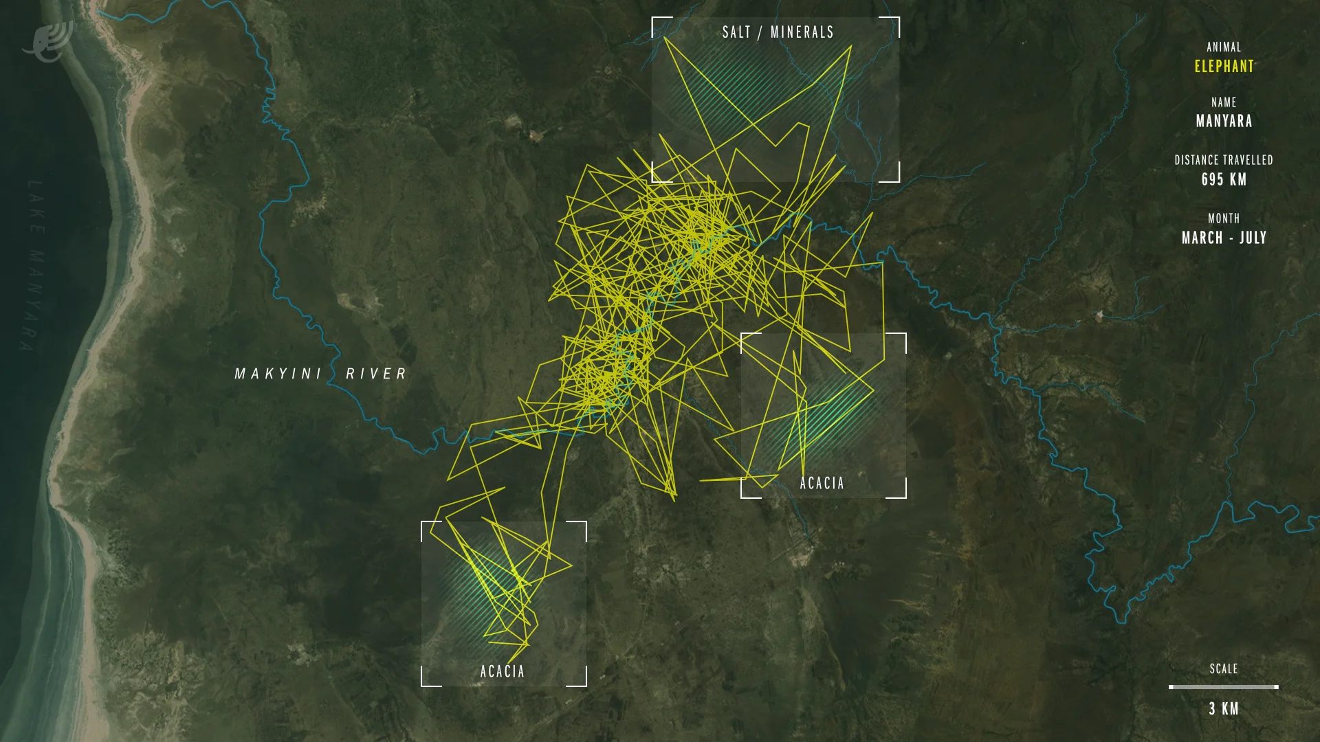 Internet of Elephants | Full documentary on Vimeo