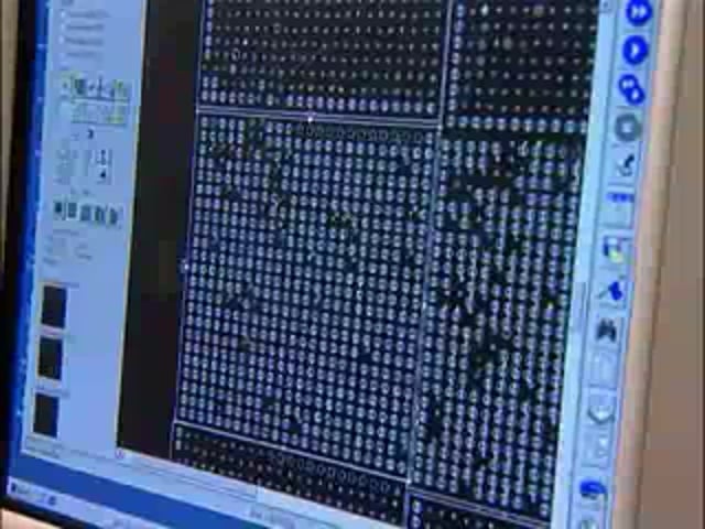 Microarrays: The high-tech machinery — Science Learning Hub