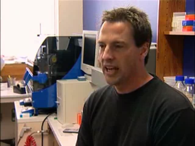 Microarrays: What are they and why are they useful? — Science Learning Hub