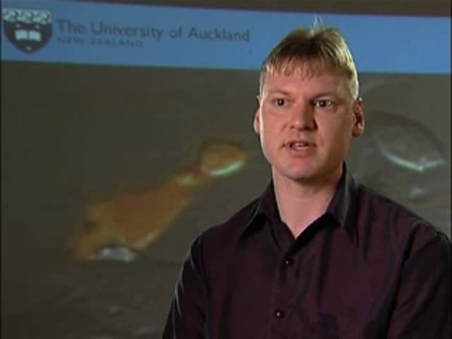 PCR in action: Adding genes to cells — Science Learning Hub