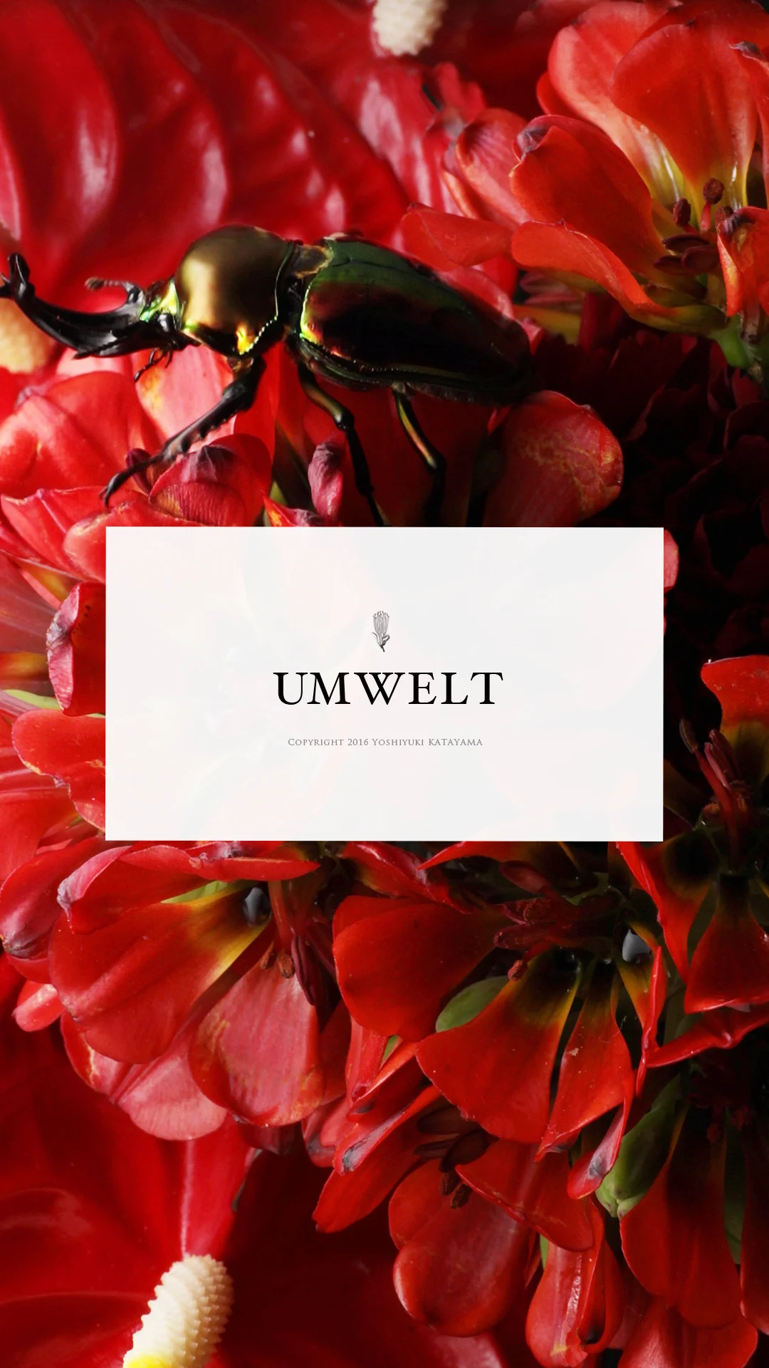 Umwelt_環世界 on Vimeo